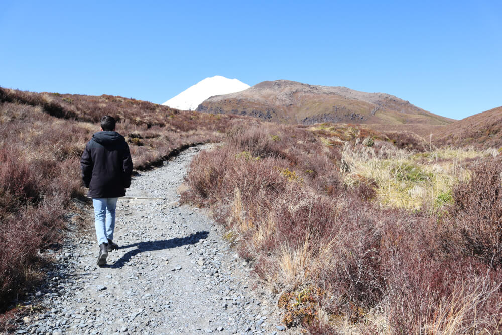 About Dylan Sigley - Dylan Sigley